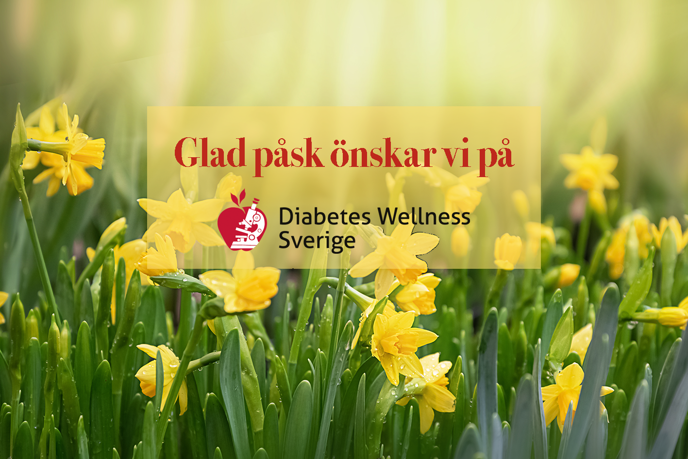 Glad Påsk önskar vi dig och bjuder på några härliga recept (2 ...